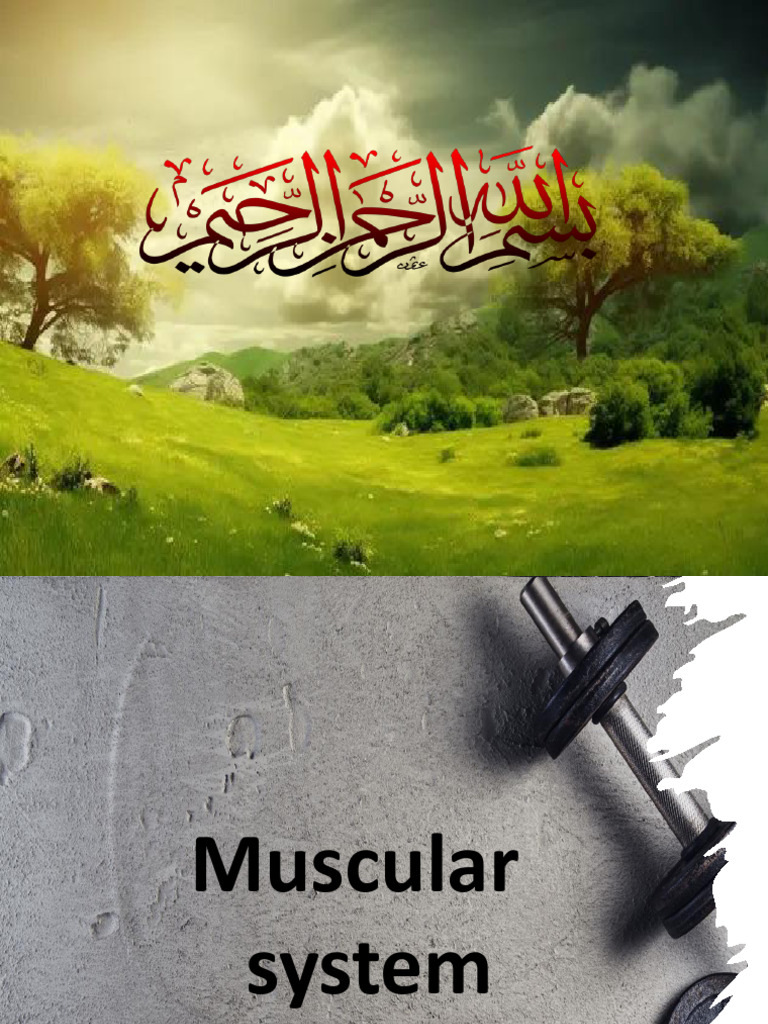 2nd lecture Applied science 2024- 2025 (1) | PDF | Muscle | Cartilage