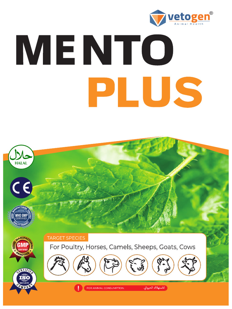 00001965-Mento Plus | PDF