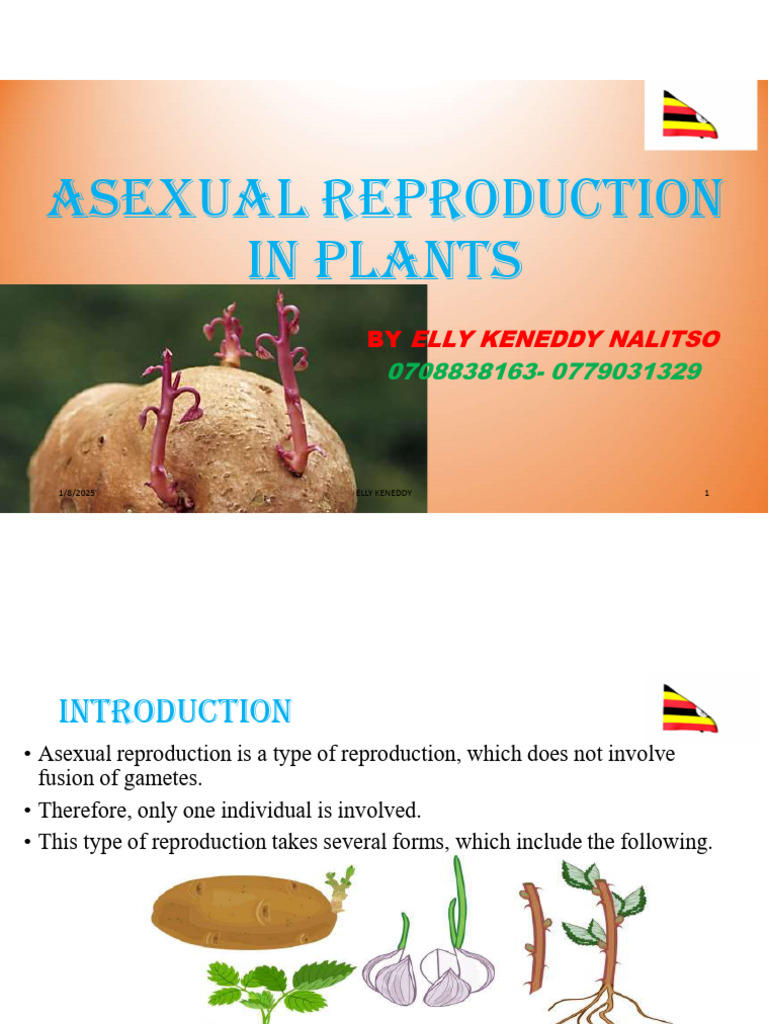 Asexual Reproduction in Plants | PDF | Grafting | Horticultural Techniques