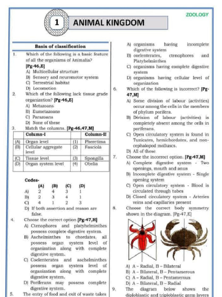 Animal Kingdom Practice Test | PDF