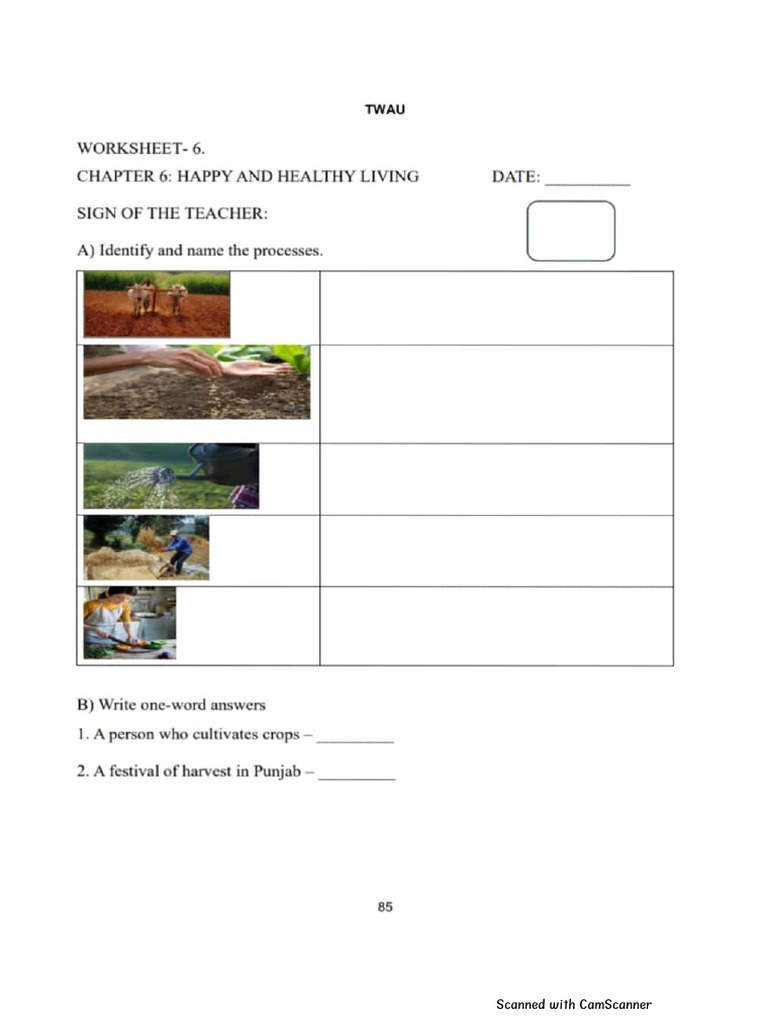 TWAU Class 4 | PDF