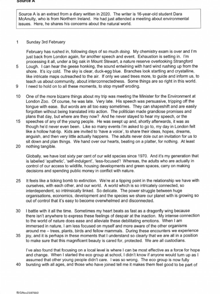 Lang Paper 2 Nov 2023 | PDF