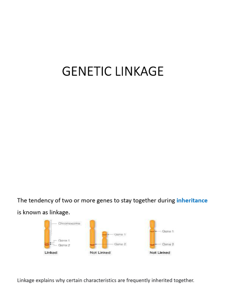 Link Aged | PDF | Genetic Linkage | Genotype