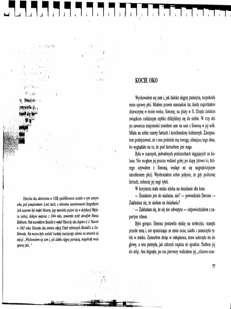 Georges Bataille Historia Oka | PDF