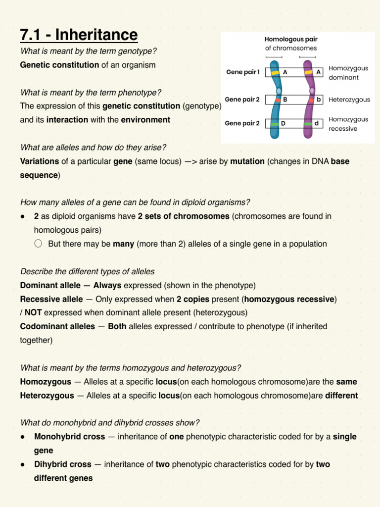 7 - Genetics, Populations, Evolution and Ecosystems (Notes) 2 | PDF ...