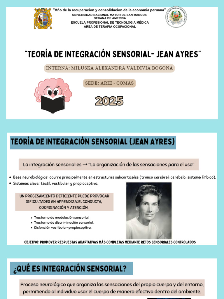 Teoría de Is - Jean Ayres | PDF | Cerebro | Sentidos