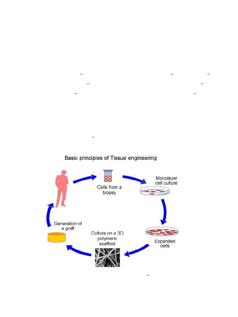UNIT-4 - 17 Tissue Engineering | PDF | Tissue Engineering | Stem Cell