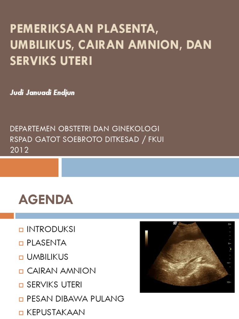 FK UNS OBGIN USG 1h. Pemeriksaan Plasenta, Umbilikus, Cairan Amnion, Dan Serviks Uteri, JJE ...