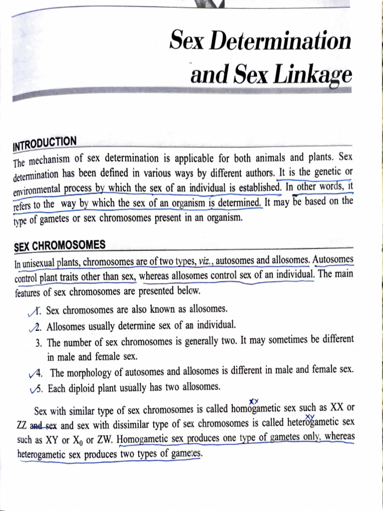 Sex Determination | PDF
