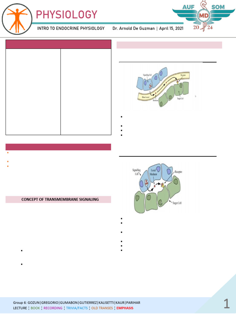 G6 - PHY - Intro-to-Endocrine-v2 | PDF | Cell Signaling | Signal ...