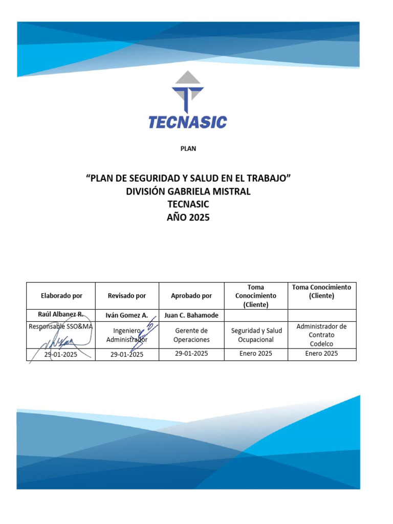 Plo-2973-Ods13 Plan Sso Tecnasic Version 0 - 2025 Dgm | PDF | Seguridad ...
