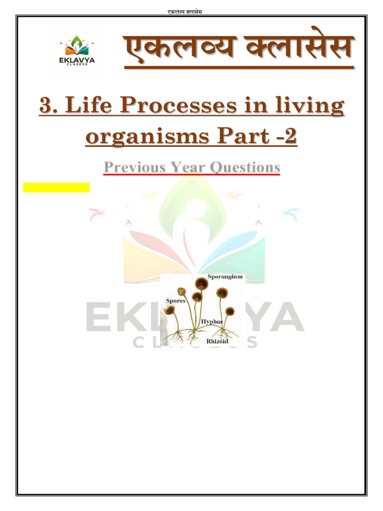 Life Processes in Living Organisms Part - 2 | PDF