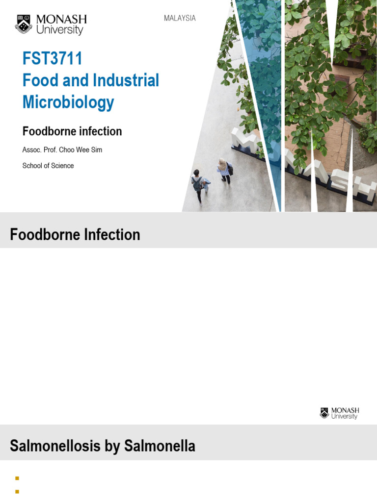 Foodborne Infection Salmonellosis | PDF | Salmonella | Microbiology