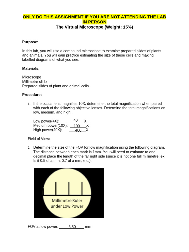 Virtual Microscope Lab Guide | PDF | Field Of View | Microscope