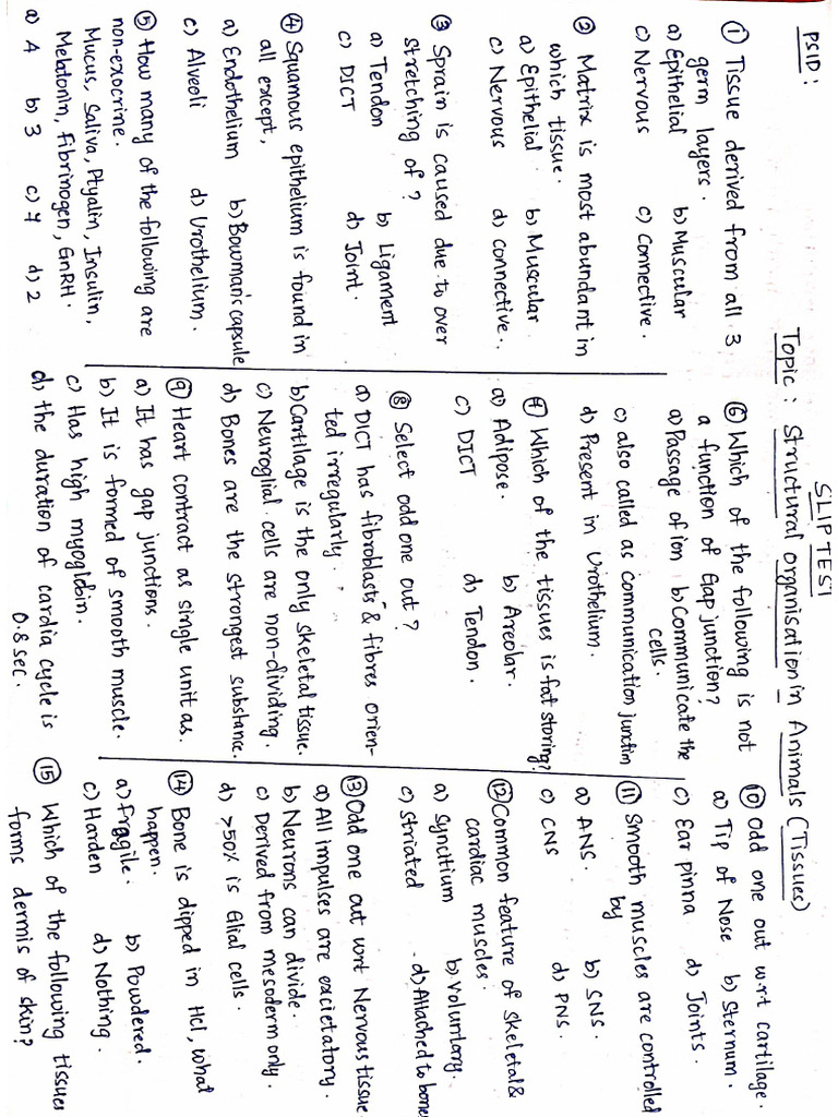 Animal Tissues Slip Test | PDF