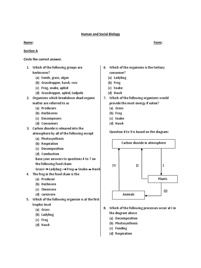 Ecology test for CSEC students | Food Web | Ecosystem