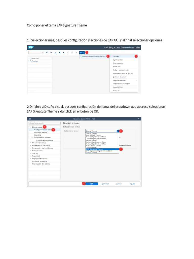Cambiar a SAP Signature Theme | PDF