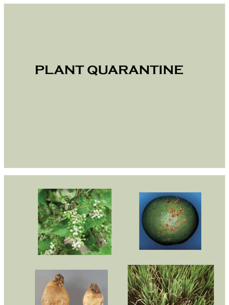 8c. Plant Quarantine, IPM | PDF | Pest (Organism) | Crop Rotation
