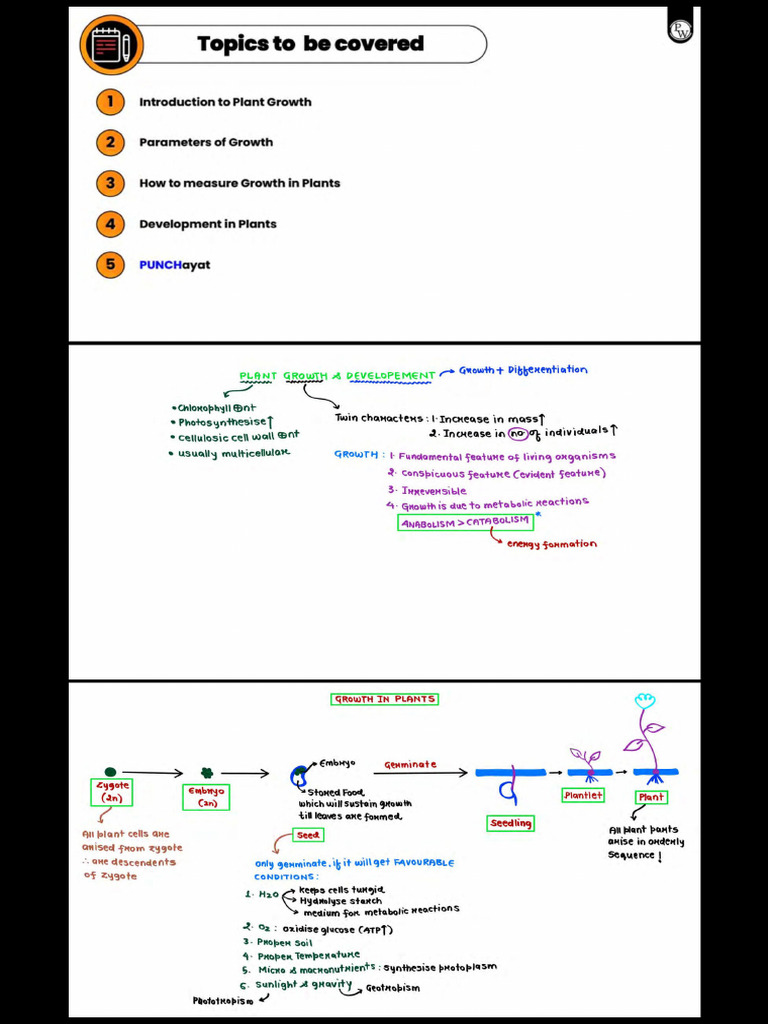 Plant Growth and Development Class Notes | PDF