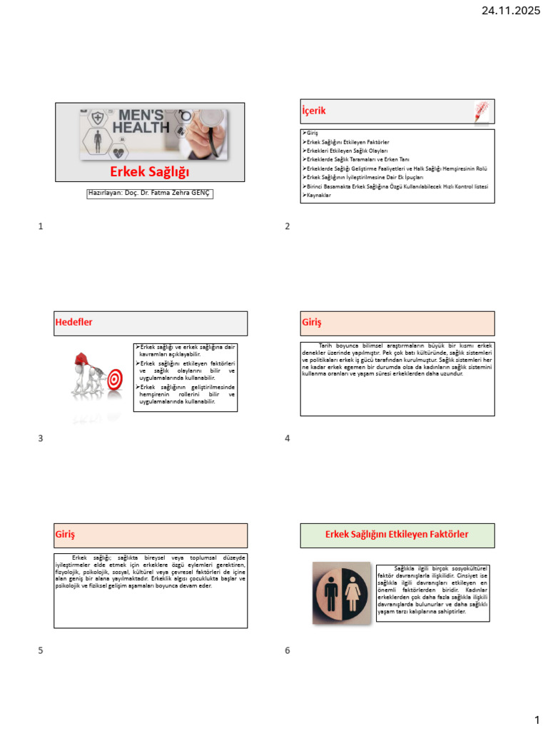 HSH Erkek Sağlığı | PDF