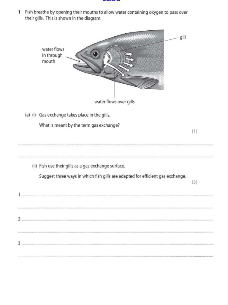 Test For Kingdoms, Gas Exchange and Smoking - 250809 - 080242 | PDF