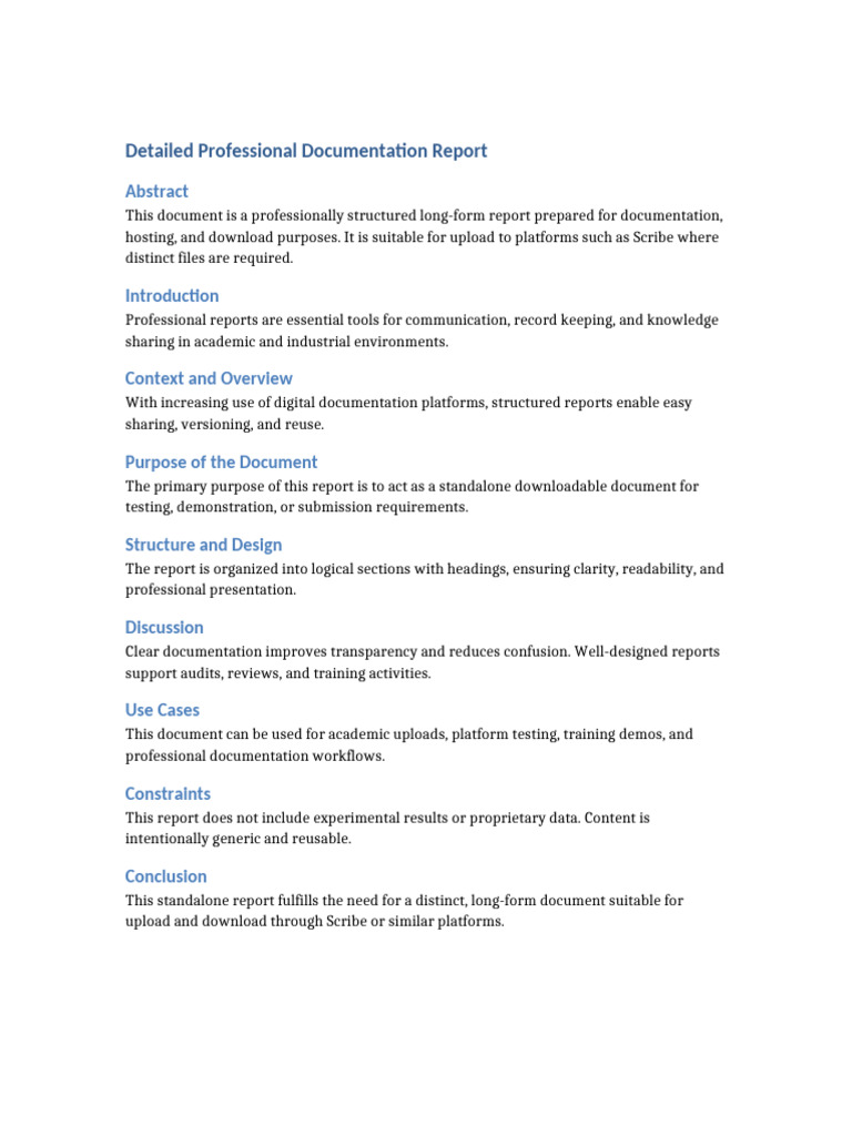 Professional Documentation Report V2 | PDF