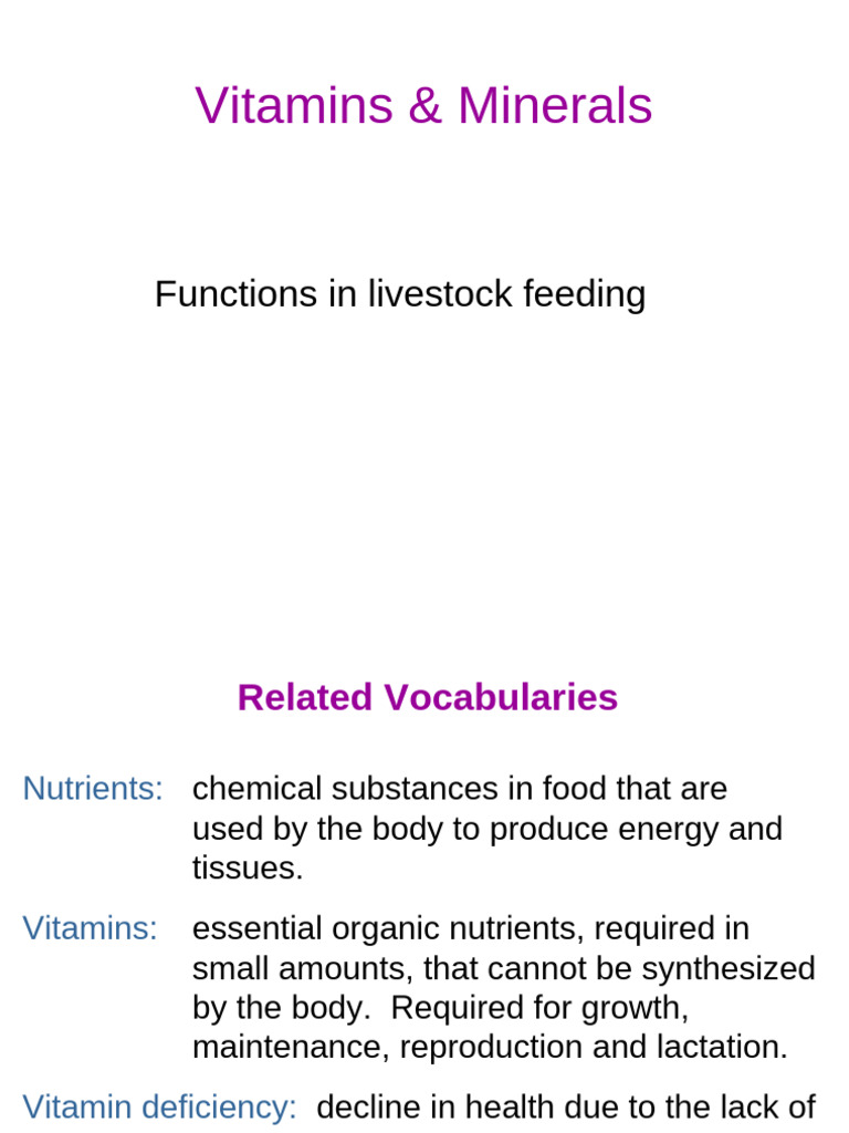 Vitamin N Minerals Final Lecture | PDF | Vitamin A | Vitamin