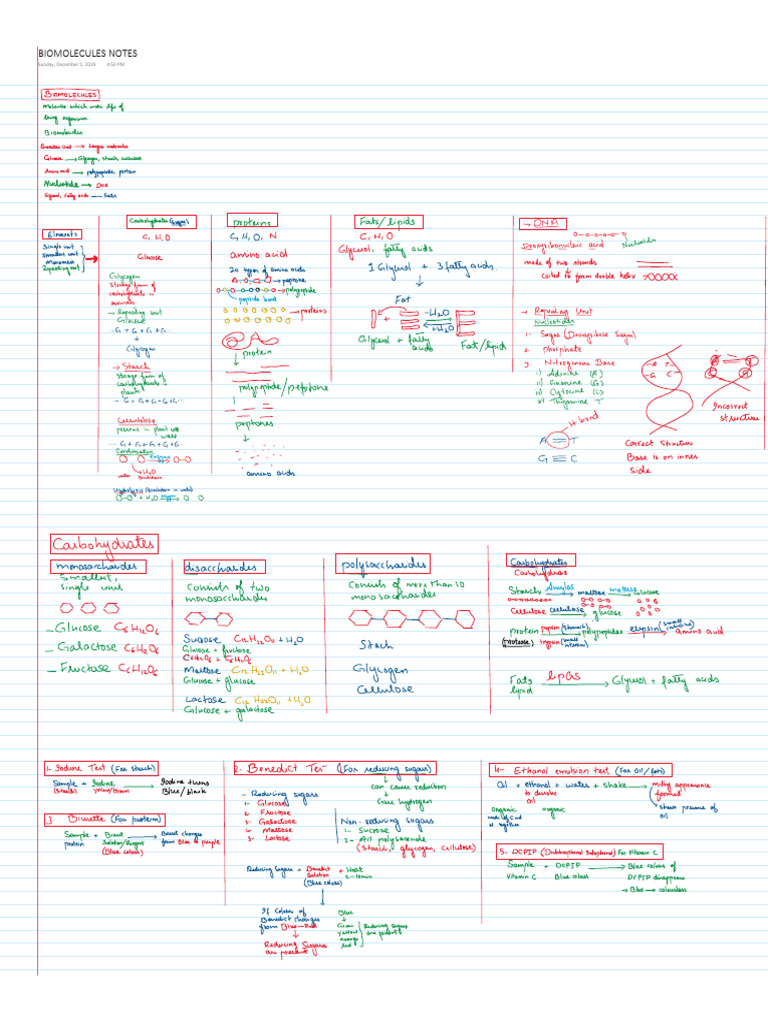 Biomolecules Notes 4 | PDF