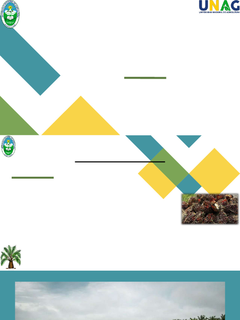 Presentación Final SamuelfloresPDF | PDF | Agricultura