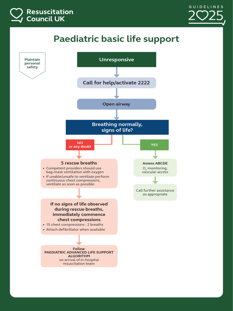 Paediatric In-Hospital BLS Algorithm | PDF