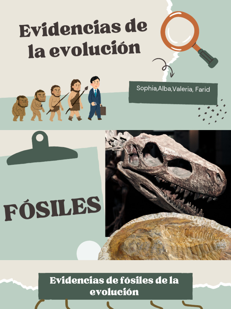 Evidencias de La Evolución | PDF