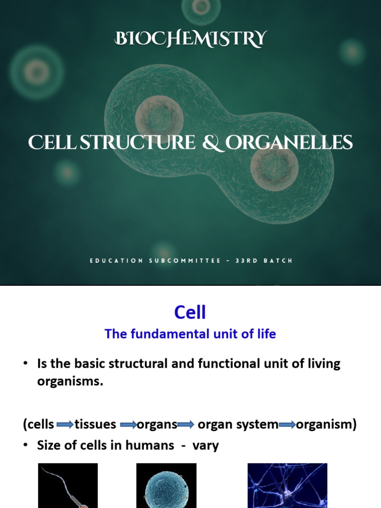 Cell Cell Structure, Cellular Environment - For 34th | PDF ...