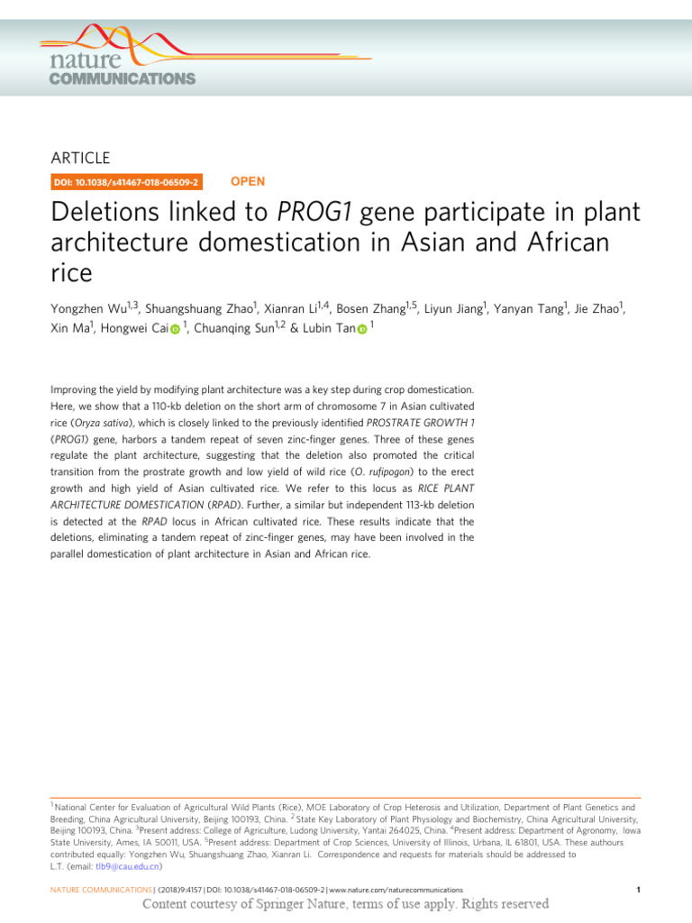 Deletions Linked To PROG1 Gene Participate in Plan | PDF | Rice | Gene