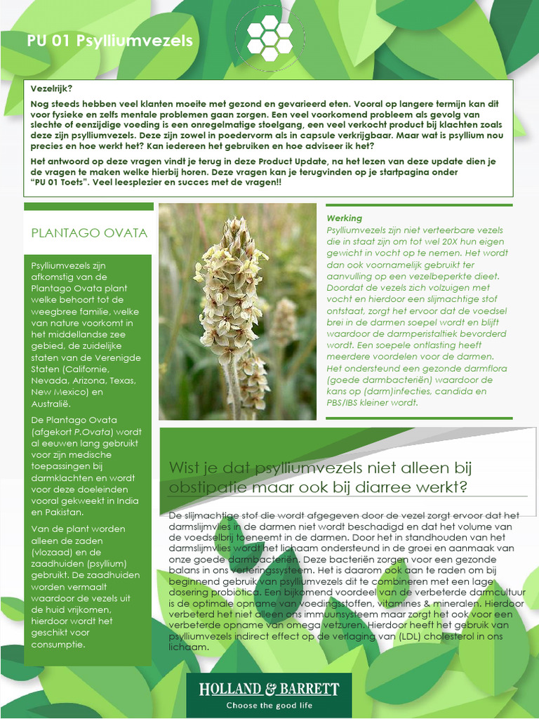 Psy Llium Veze Ls | PDF