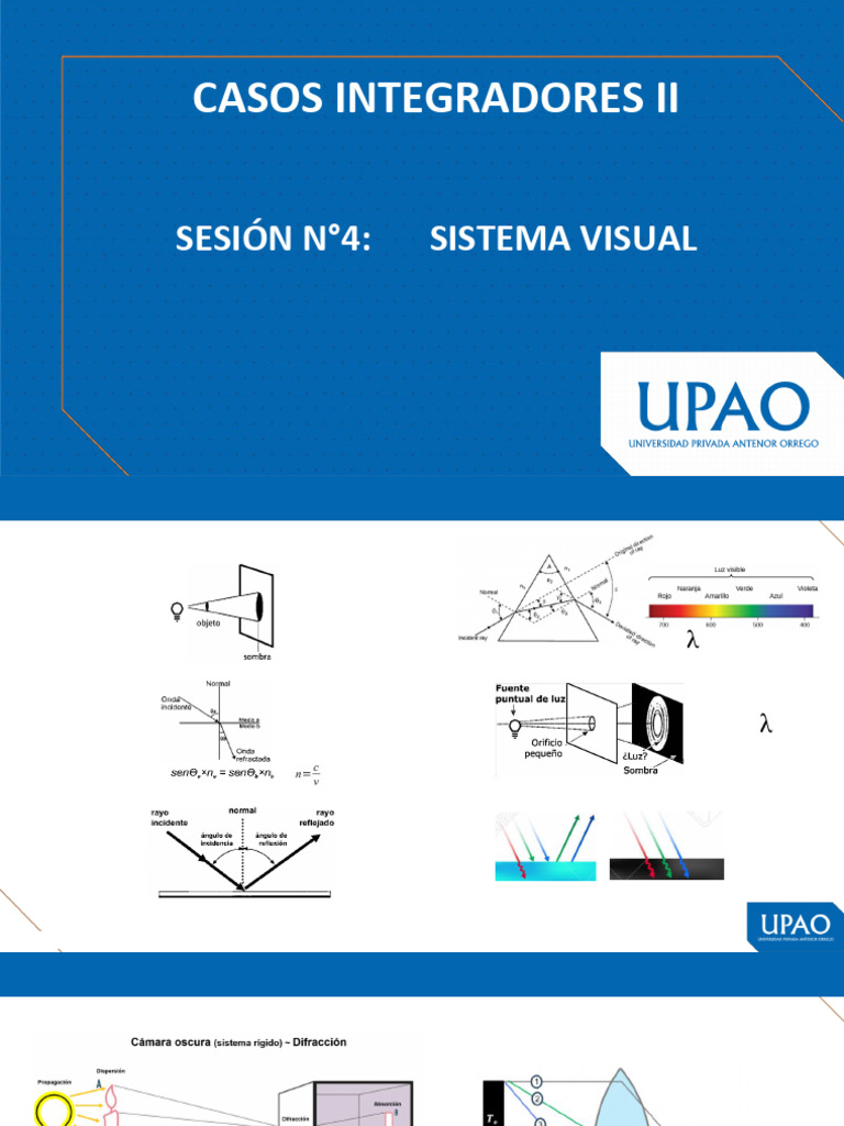 4te - Sistema Visual | PDF | Glaucoma | Óptica