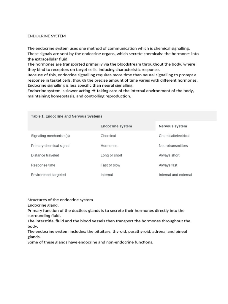 Overview of the Endocrine System | PDF | Endocrine System | Pancreas