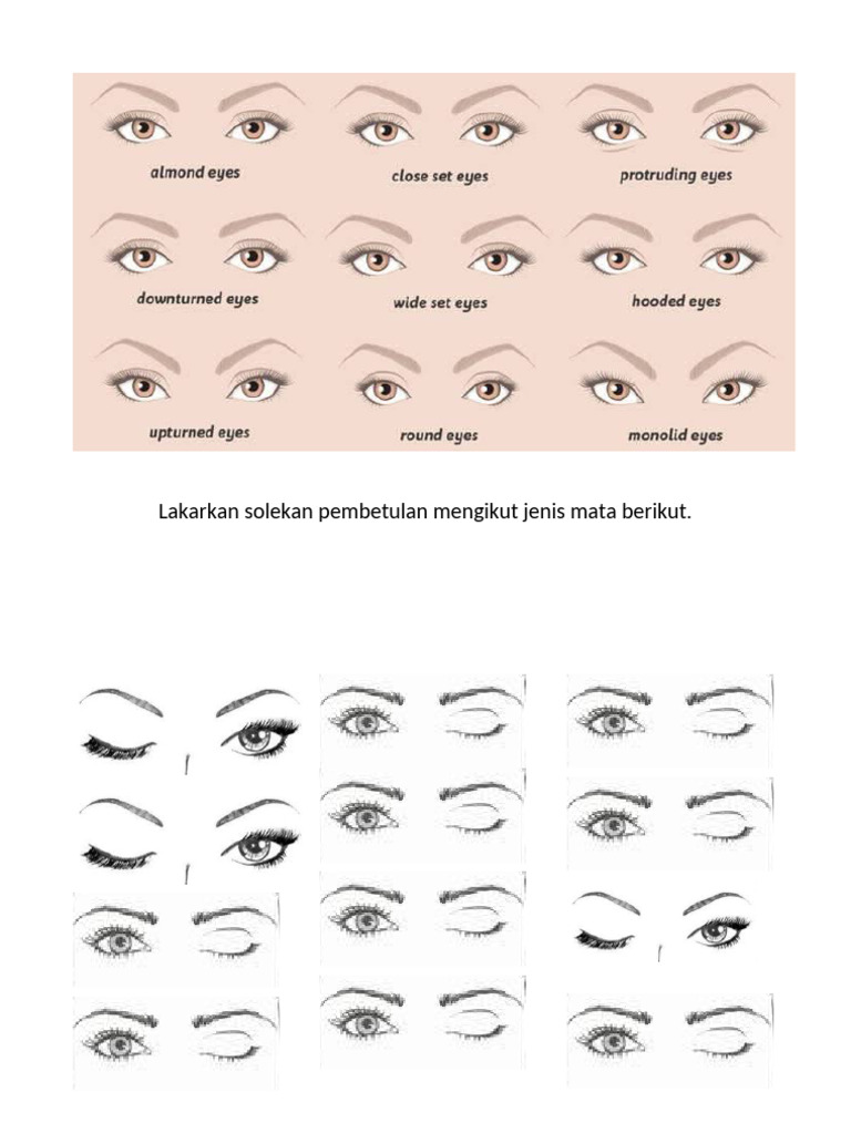Face Chart Mata | PDF