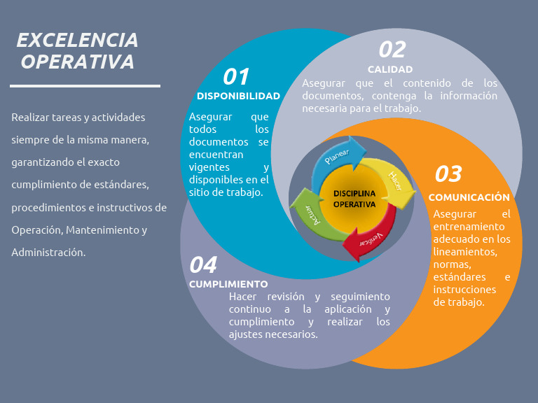 Dia 4_Poster Excelencia Operativa | PDF