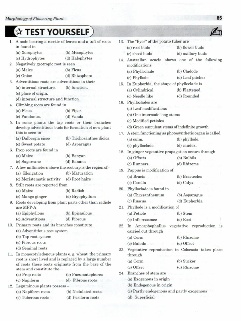 Practice Sheet - Morphology | PDF