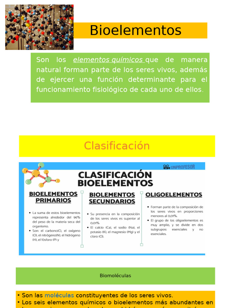 Bioelementos - Biomoléculas | PDF
