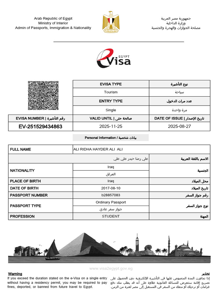 Egypt EVisa Form | PDF | Immigration | Human Migration