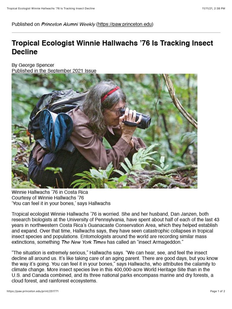 Tropical Ecologist Winnie Hallwachs '76 Is Tracking Insect Decline ...