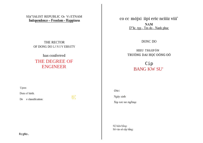 Degree: Engineer | PDF
