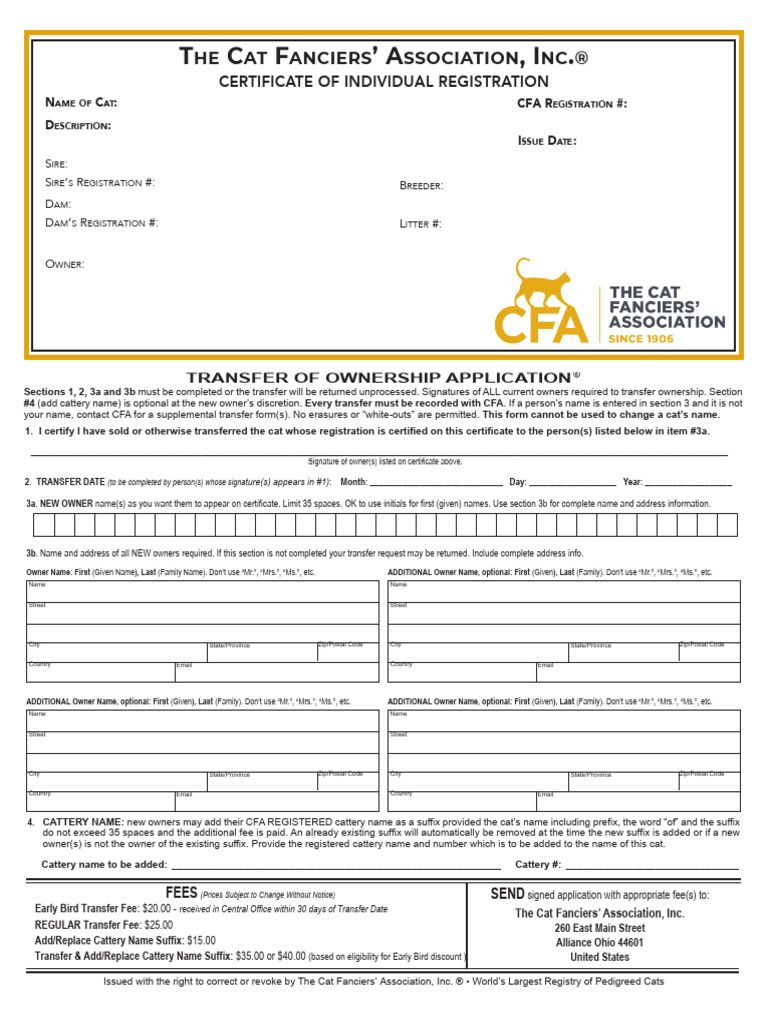Moki Cat Certificate PDF | PDF | Zip Code | Animal Breeding