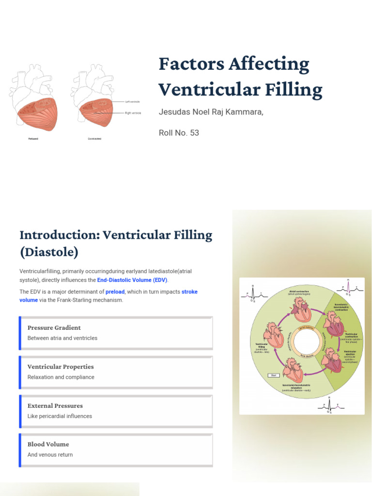 Factors Affecting Ventricular Filling | PDF | Diastole | Ventricle (Heart)