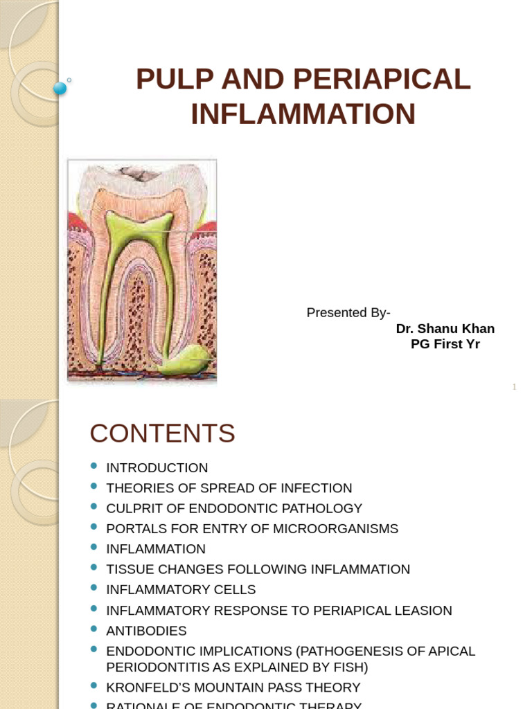 Pulp and Periapical Inflammation | PDF | Inflammation | Granulocyte