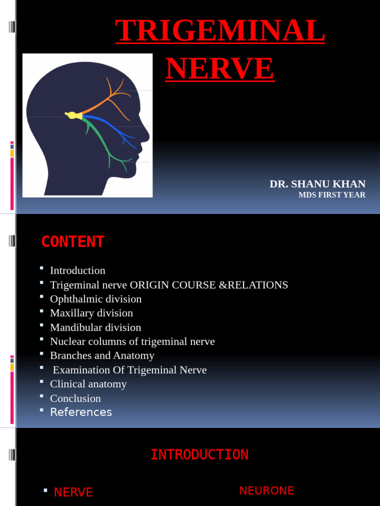shanu trigeminal nerve | PDF | Human Head And Neck | Human Anatomy
