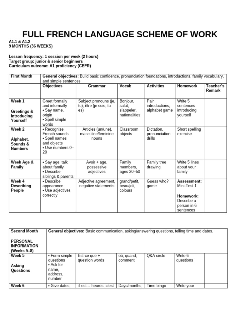 French language learning plan | PDF | Grammatical Gender | Linguistic ...