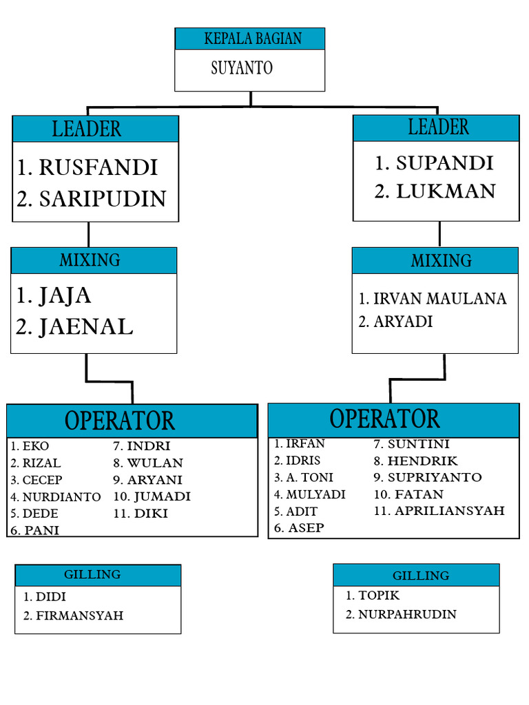Team Structure and Roles Overview | PDF