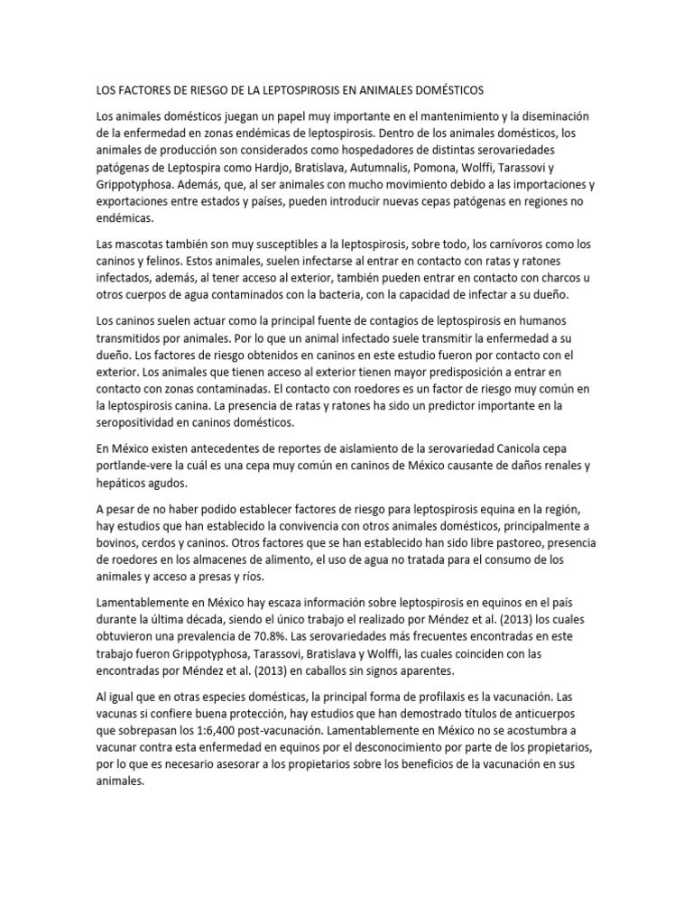 Riesgos de Leptospirosis en Animales Domésticos | PDF | Oveja ...